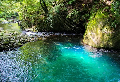 Kawazu Tourist Association [Official Website] An onsen resort renowned ...