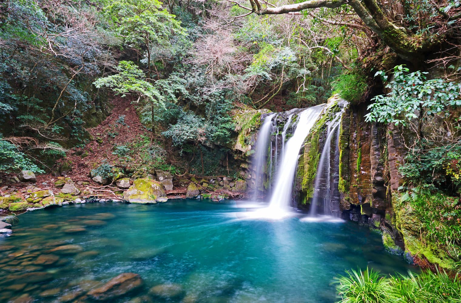Kawazu Tourist Association [Official Website] An onsen resort renowned ...