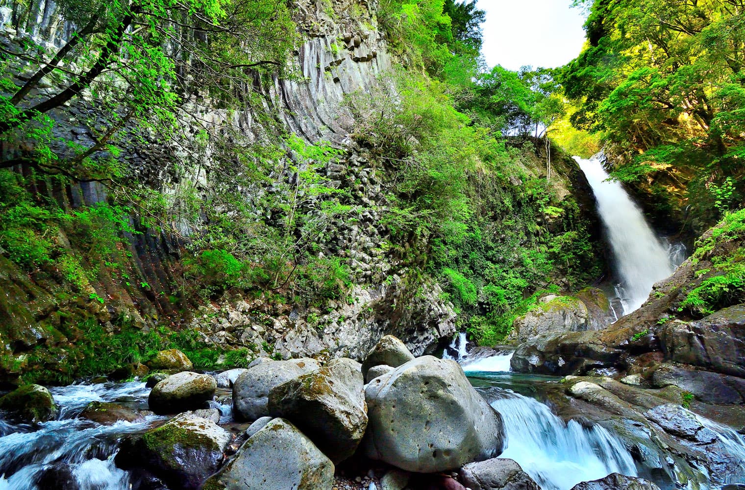 Kawazu Tourist Association [Official Website] An onsen resort renowned ...